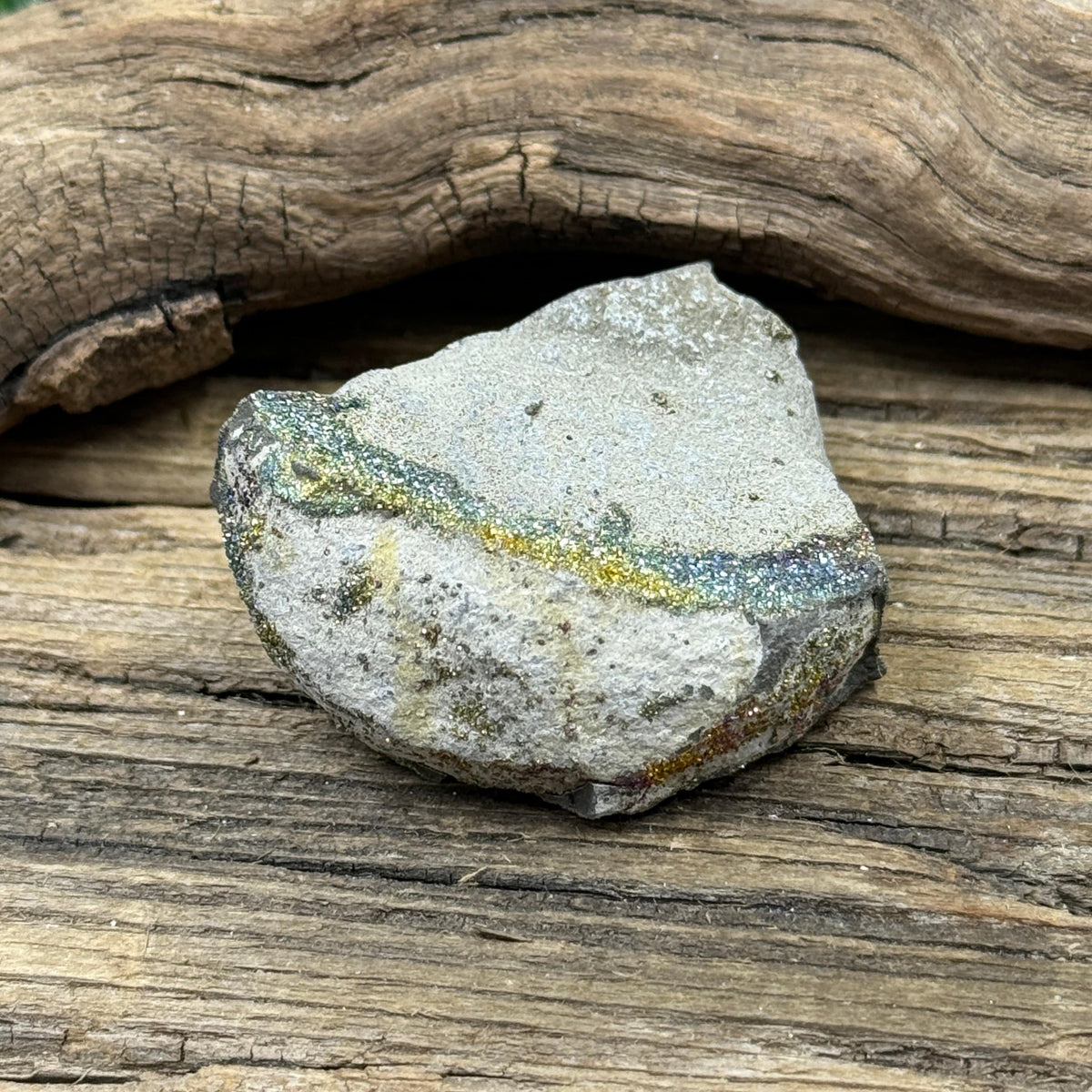 🌈 Iridescent Rainbow Pyrite Concretion Specimen - Russia – VAEL Designs