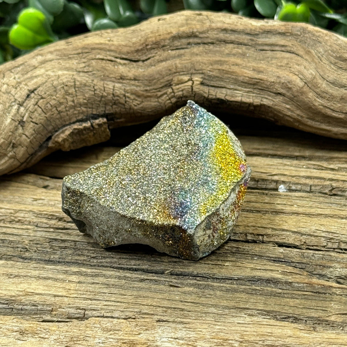 🌈 Iridescent Rainbow Pyrite Concretion Specimen - Russia – VAEL Designs