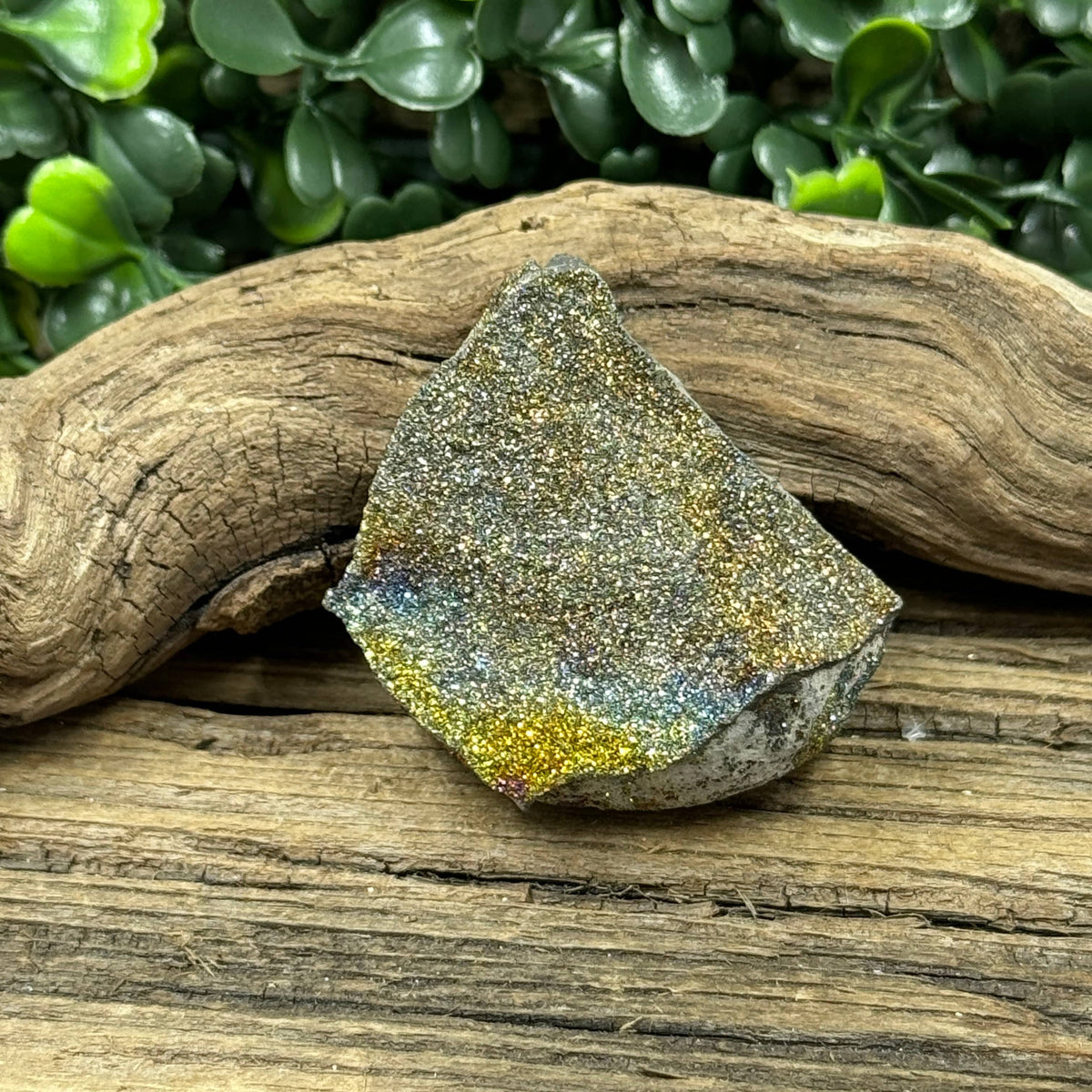 🌈 Iridescent Rainbow Pyrite Concretion Specimen - Russia – VAEL Designs