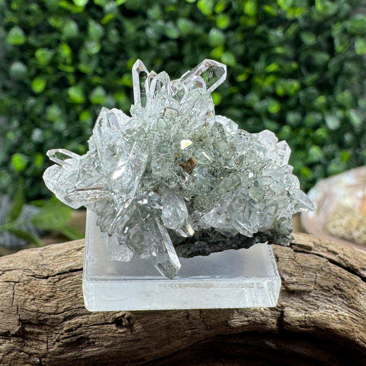 Namibian Quartz Cluster from Streep Mine - 1.5" by 1" Size – VAEL Designs